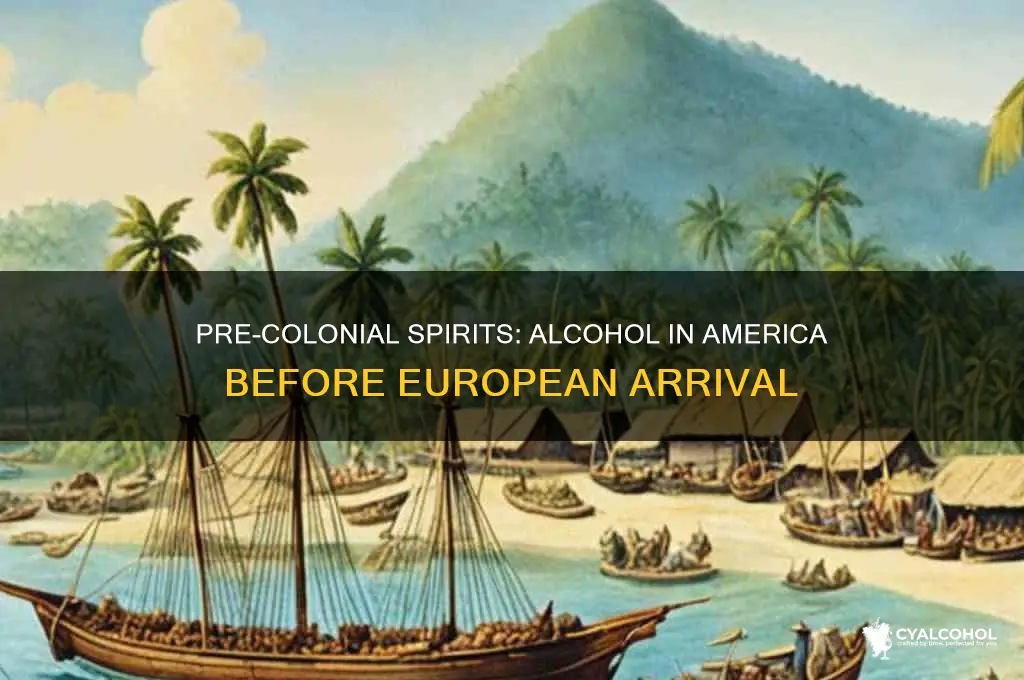 Pre-Colonial Spirits: Alcohol In America Before European Arrival ...