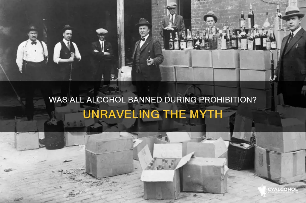 Was All Alcohol Banned During Prohibition? Unraveling The Myth | CyAlcohol