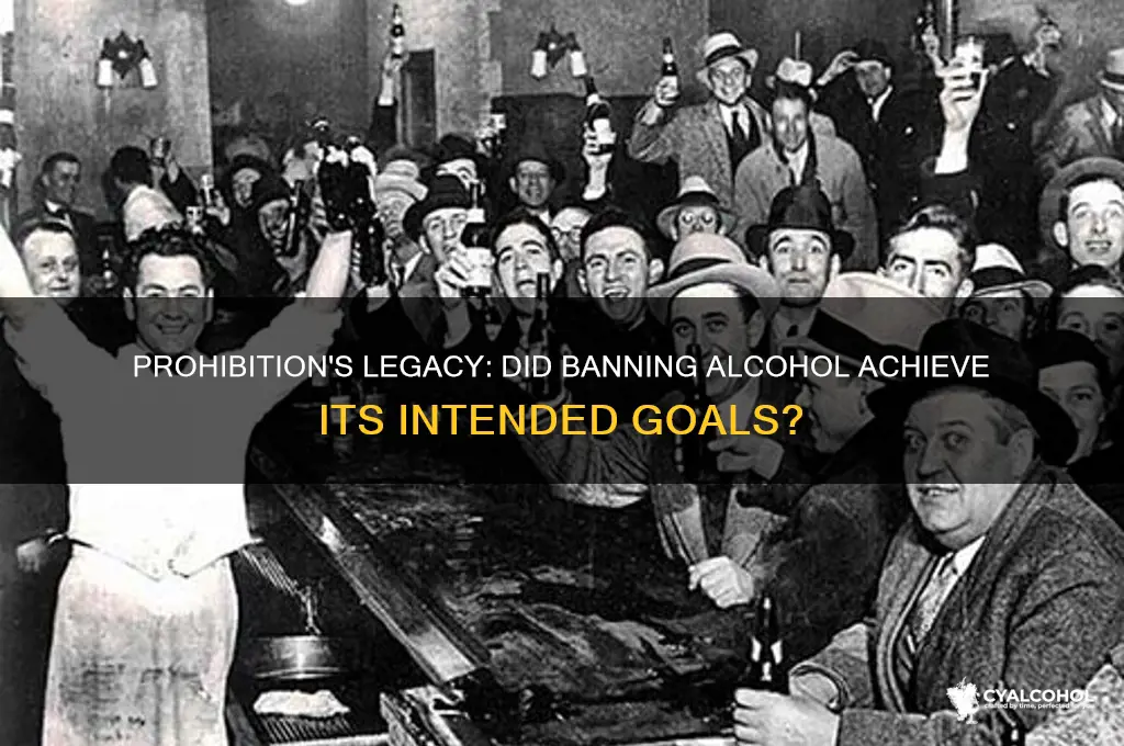 Prohibition's Legacy: Did Banning Alcohol Achieve Its Intended Goals ...