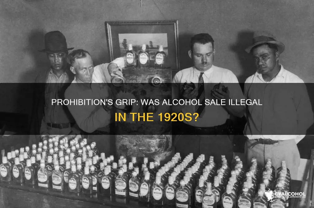 Prohibition's Grip: Was Alcohol Sale Illegal In The 1920S? | CyAlcohol