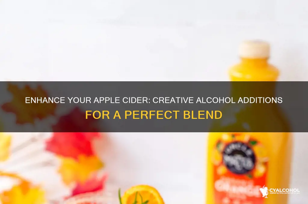 Enhance Your Apple Cider: Creative Alcohol Additions For A Perfect ...