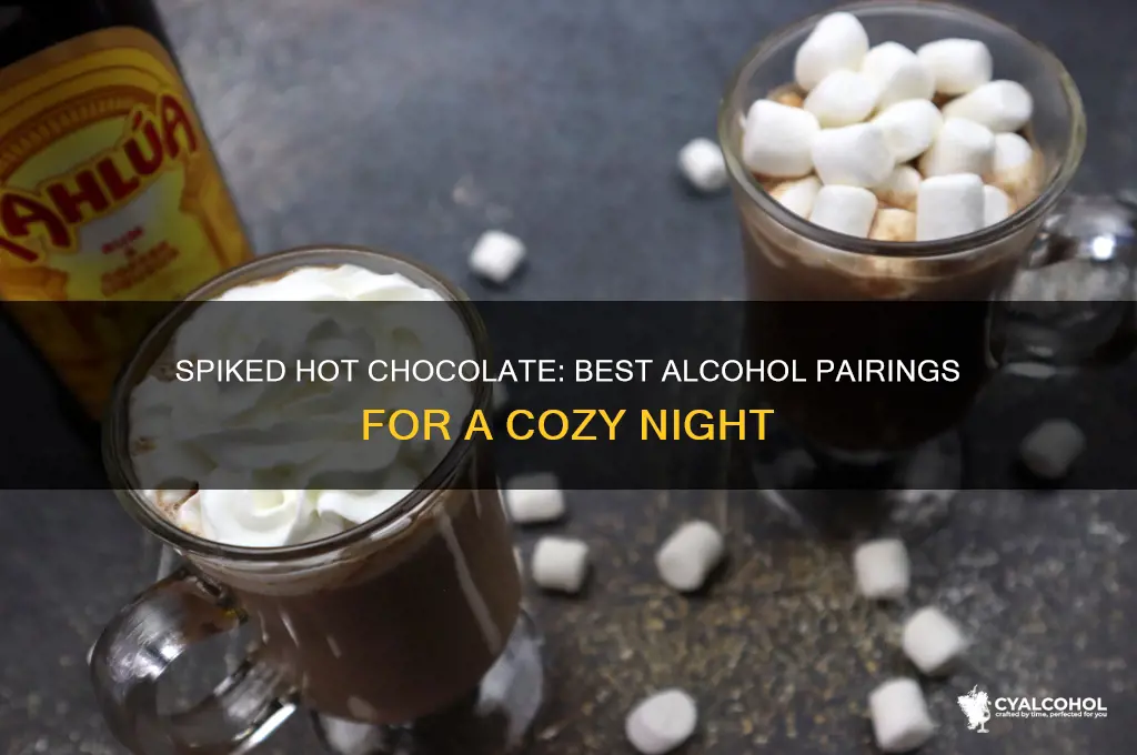 Spiked Hot Chocolate: Best Alcohol Pairings For A Cozy Night | CyAlcohol