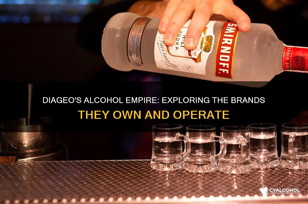 Diageo's Alcohol Empire: Exploring The Brands They Own And Operate ...