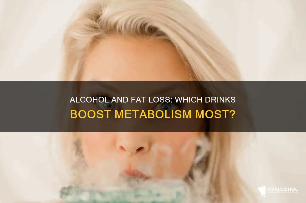 Alcohol And Fat Loss: Which Drinks Boost Metabolism Most? | CyAlcohol