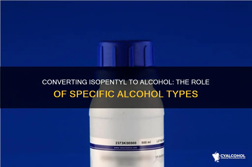 Converting Isopentyl To Alcohol: The Role Of Specific Alcohol Types ...