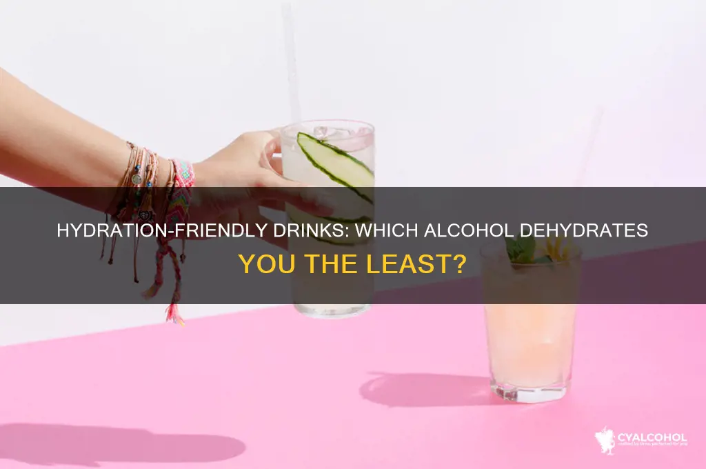 Hydration-Friendly Drinks: Which Alcohol Dehydrates You The Least ...