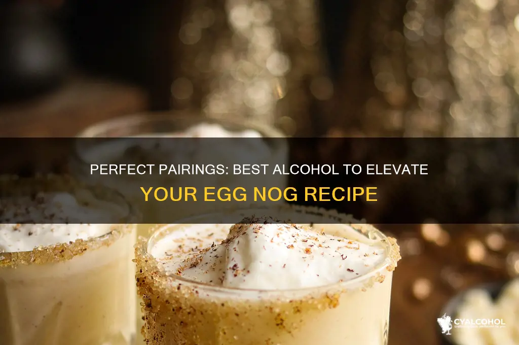 Perfect Pairings: Best Alcohol To Elevate Your Egg Nog Recipe | CyAlcohol