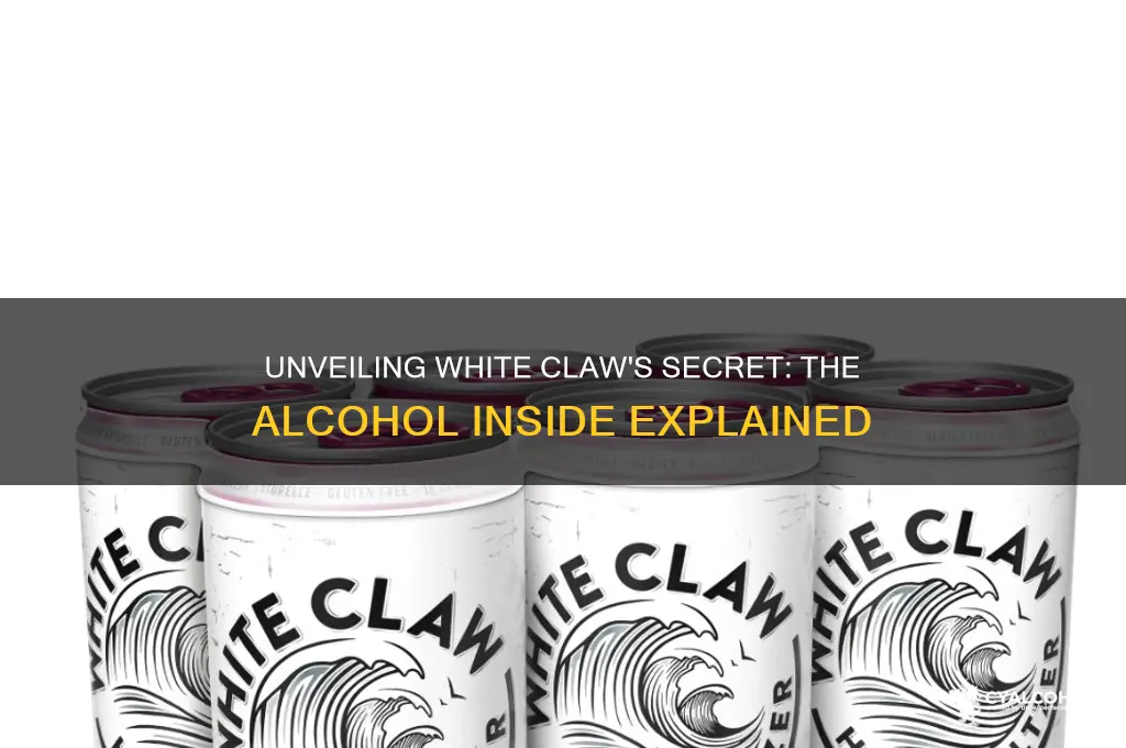 Unveiling White Claw's Secret: The Alcohol Inside Explained | CyAlcohol
