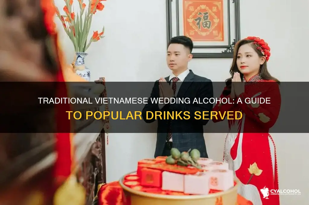 Traditional Vietnamese Wedding Alcohol: A Guide To Popular Drinks ...