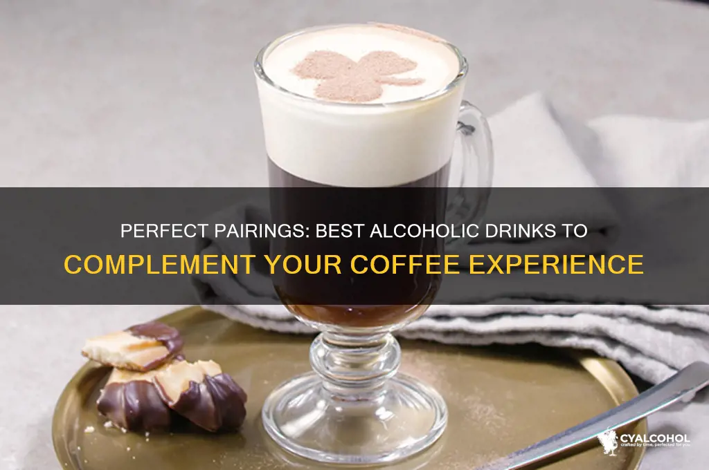 Perfect Pairings: Best Alcoholic Drinks To Complement Your Coffee ...