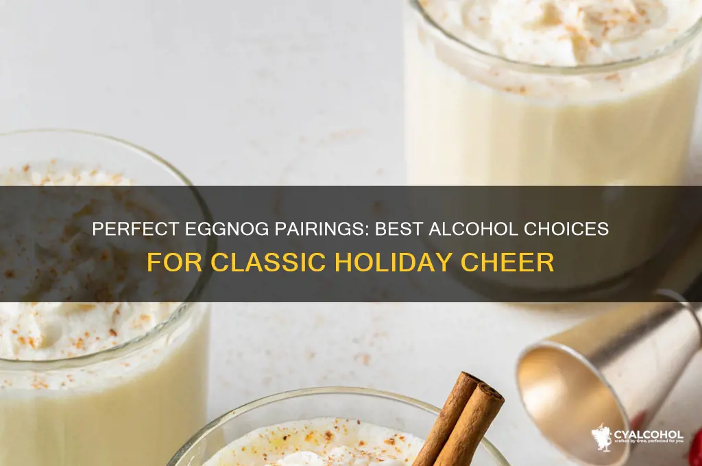 Perfect Eggnog Pairings: Best Alcohol Choices For Classic Holiday Cheer ...