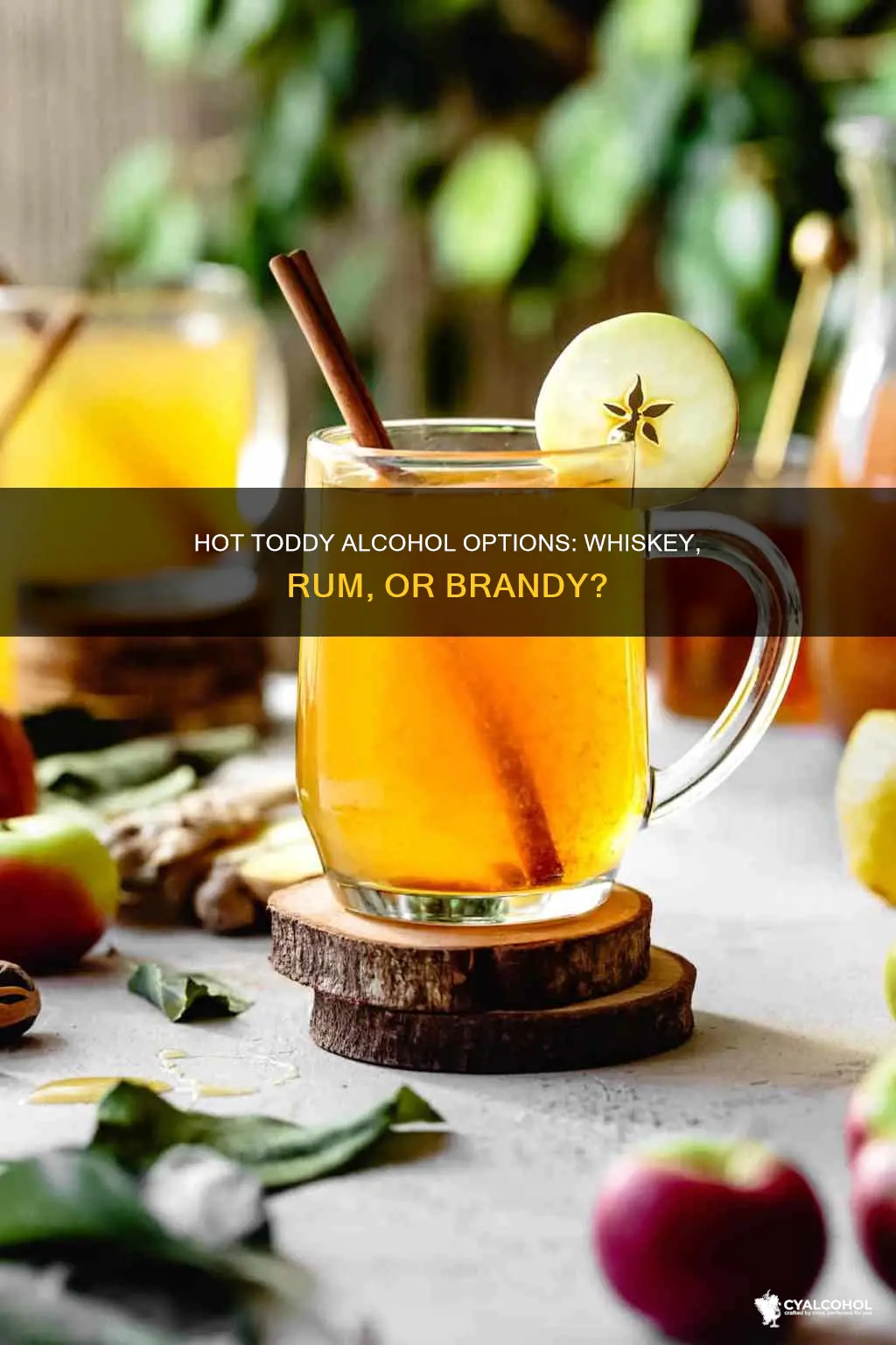 Hot Toddy Alcohol Options: Whiskey, Rum, Or Brandy? | CyAlcohol