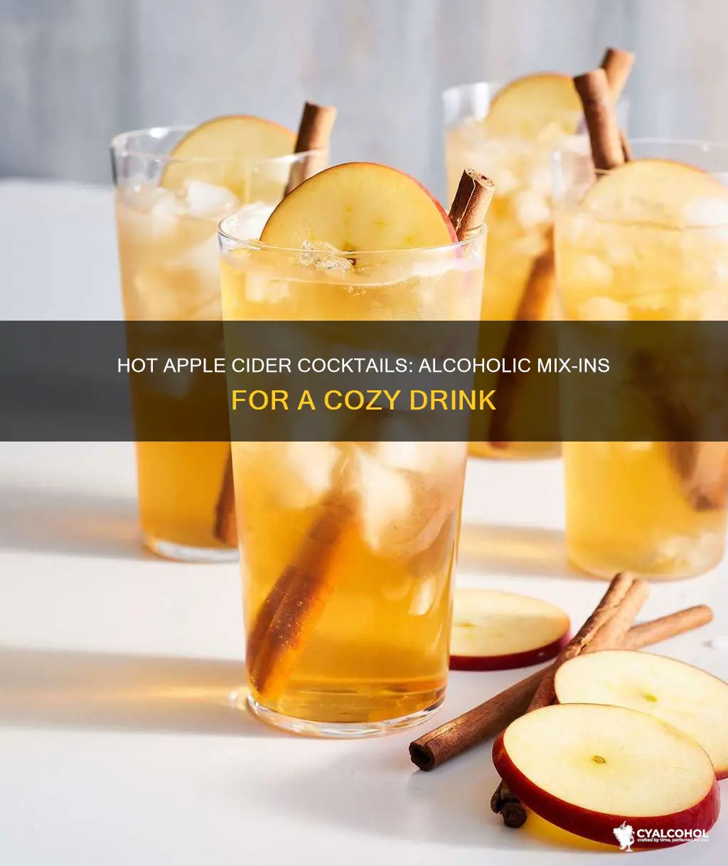 Hot Apple Cider Cocktails: Alcoholic Mix-Ins For A Cozy Drink | CyAlcohol