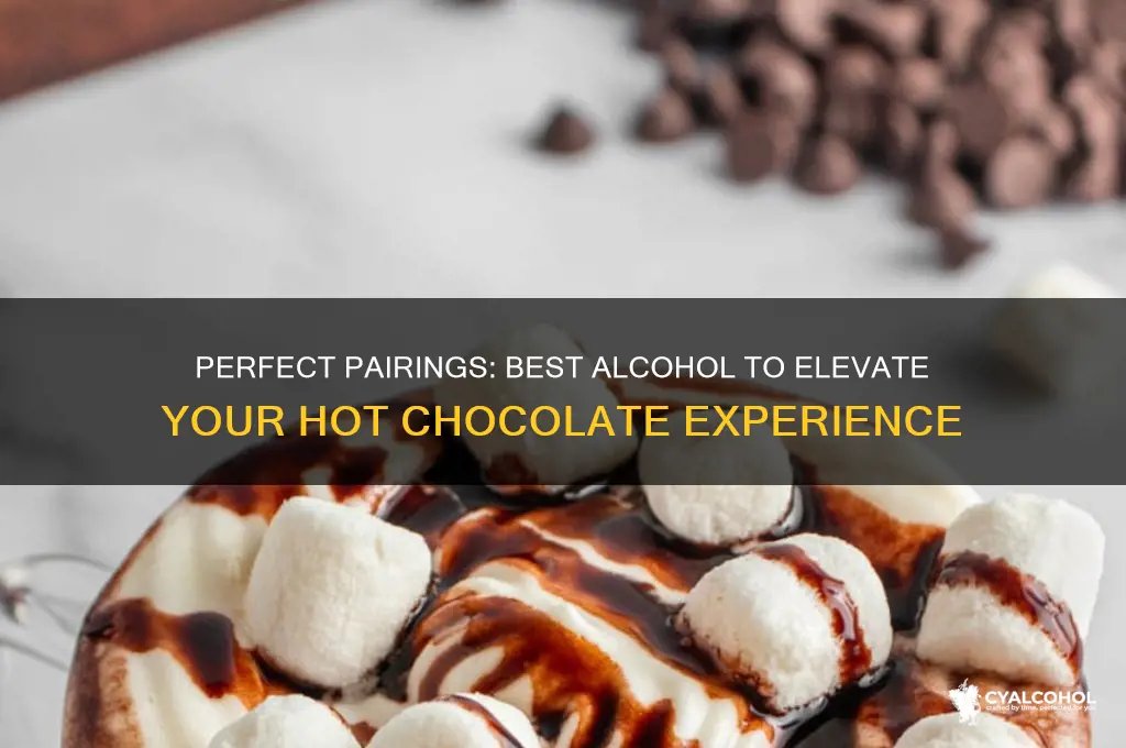 Perfect Pairings: Best Alcohol To Elevate Your Hot Chocolate Experience ...