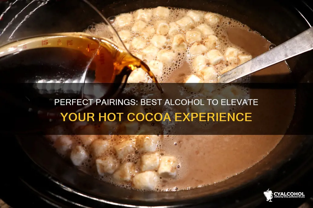 Perfect Pairings: Best Alcohol To Elevate Your Hot Cocoa Experience ...