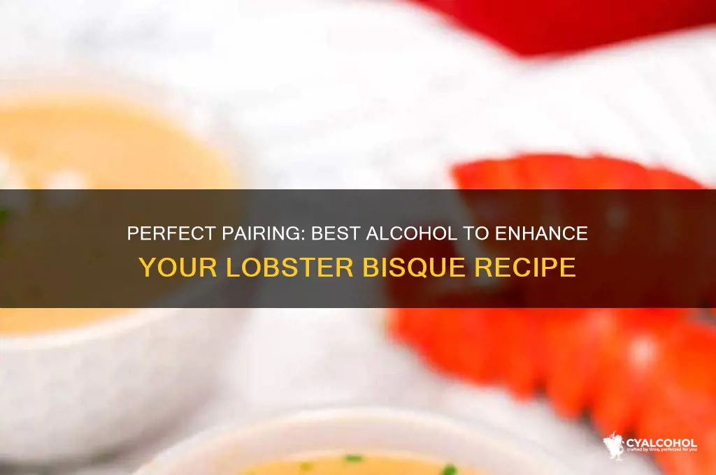Perfect Pairing: Best Alcohol To Enhance Your Lobster Bisque Recipe ...