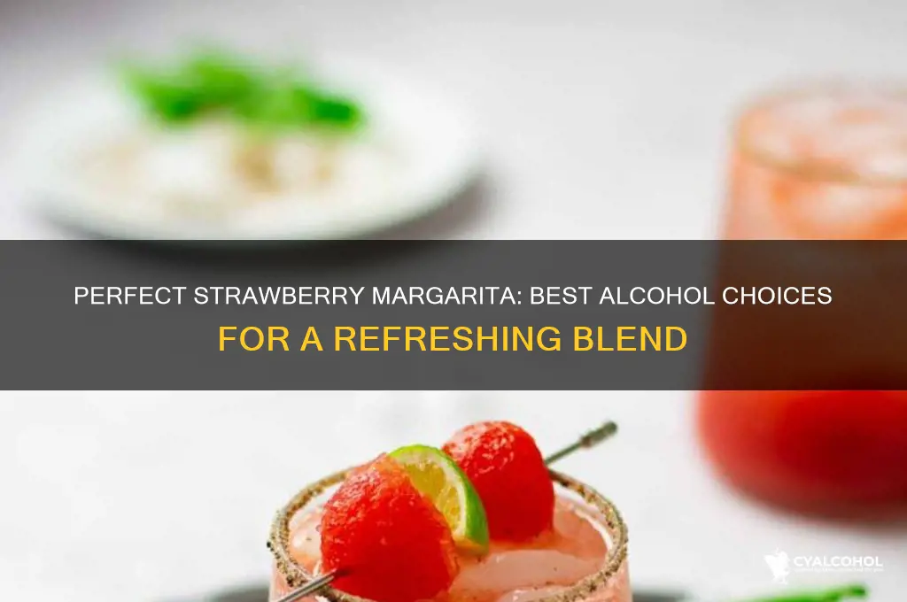Perfect Strawberry Margarita: Best Alcohol Choices For A Refreshing ...