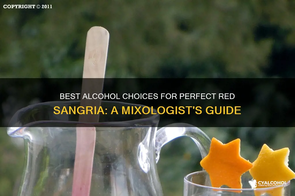 Best Alcohol Choices For Perfect Red Sangria: A Mixologist's Guide ...