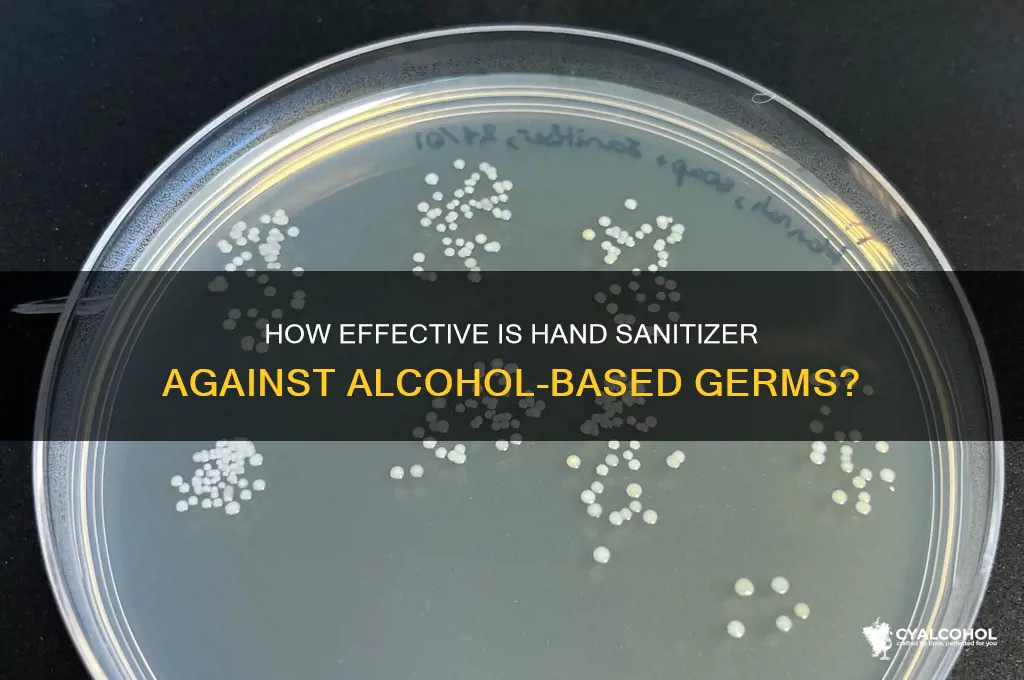 How Effective Is Hand Sanitizer Against Alcohol-Based Germs? | CyAlcohol