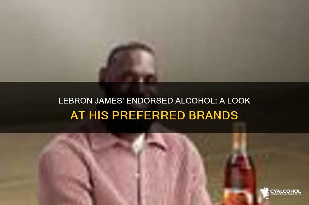 Lebron James' Endorsed Alcohol: A Look At His Preferred Brands | CyAlcohol