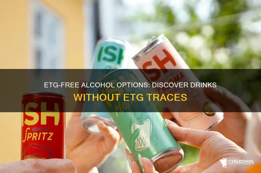 Etg-Free Alcohol Options: Discover Drinks Without Etg Traces | CyAlcohol