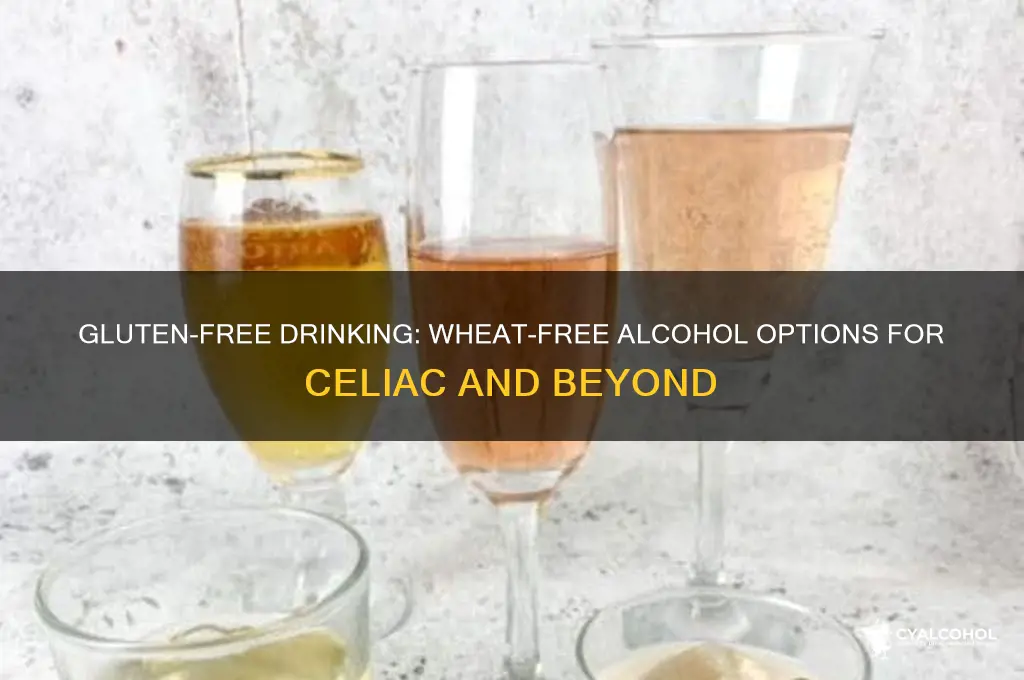Gluten-Free Drinking: Wheat-Free Alcohol Options For Celiac And Beyond ...