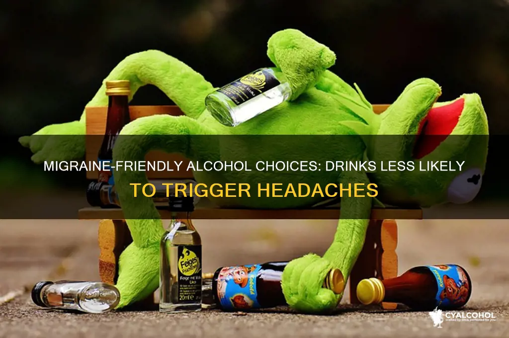 Migraine-Friendly Alcohol Choices: Drinks Less Likely To Trigger ...