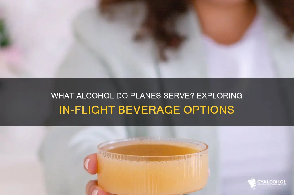 What Alcohol Do Planes Serve? Exploring In-Flight Beverage Options ...