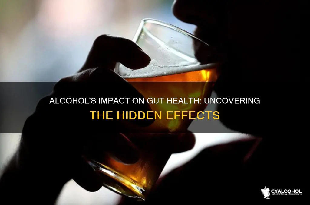 Alcohol's Impact On Gut Health: Uncovering The Hidden Effects | CyAlcohol