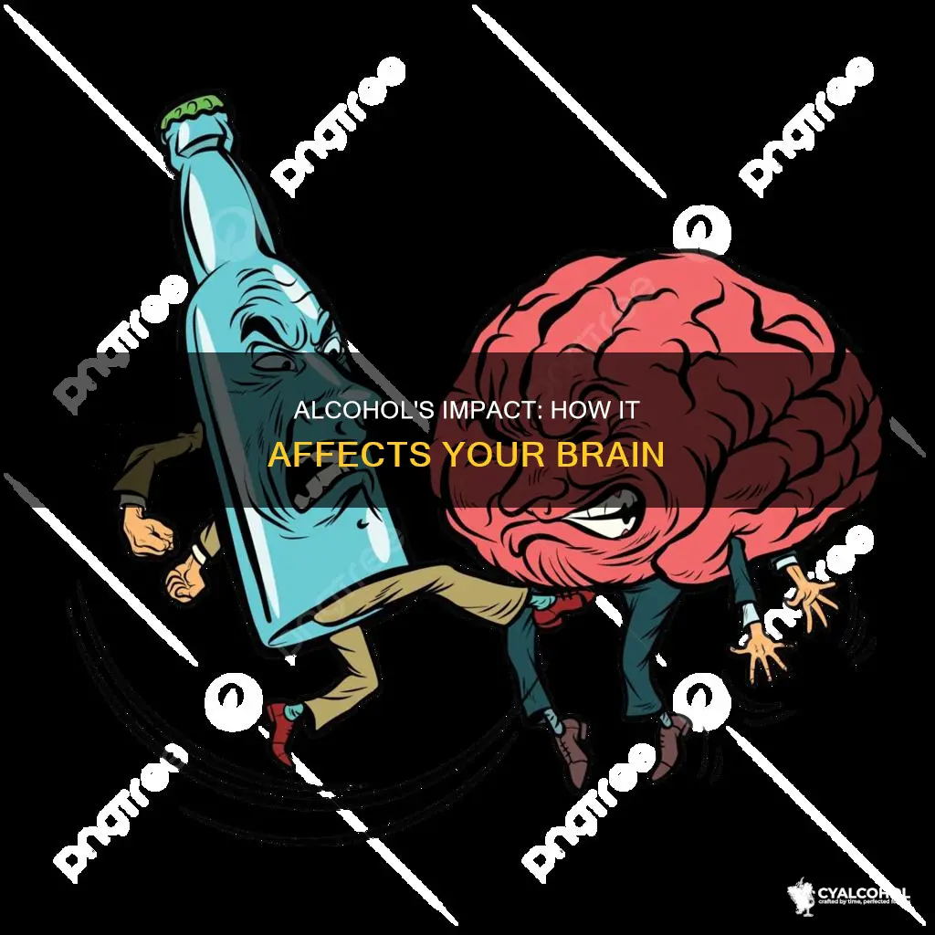 Alcohol's Impact: How It Affects Your Brain | CyAlcohol