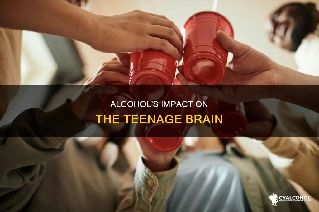Alcohol's Impact On The Teenage Brain | CyAlcohol