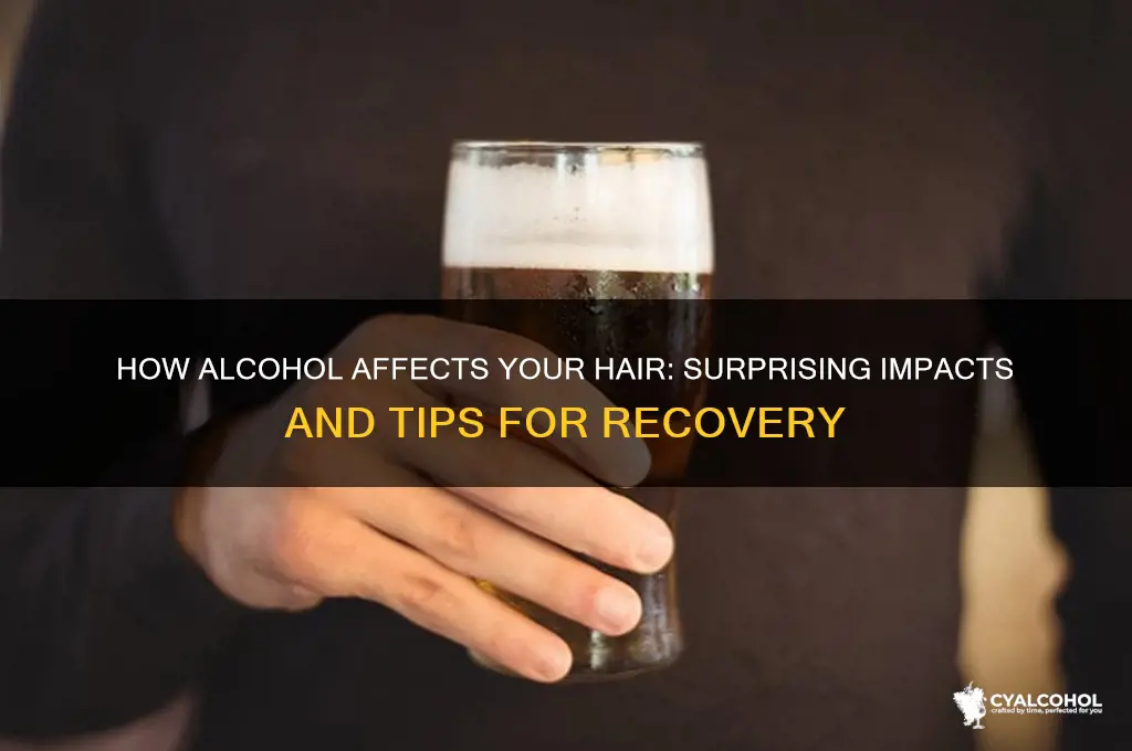 How Alcohol Affects Your Hair: Surprising Impacts And Tips For Recovery ...