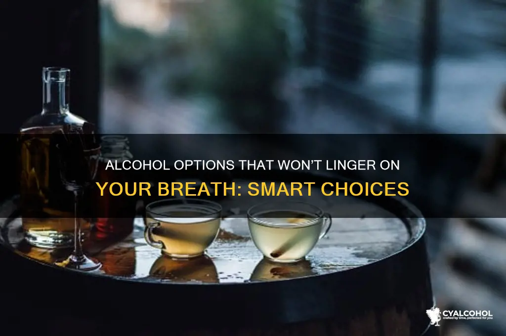 Alcohol Options That Won’T Linger On Your Breath: Smart Choices | CyAlcohol