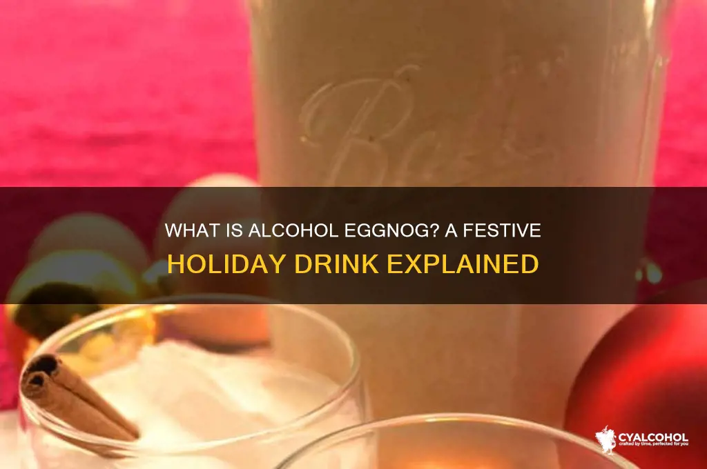 What Is Alcohol Eggnog? A Festive Holiday Drink Explained | CyAlcohol