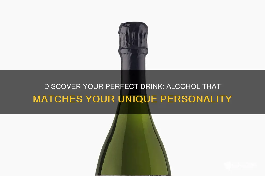 Discover Your Perfect Drink: Alcohol That Matches Your Unique ...