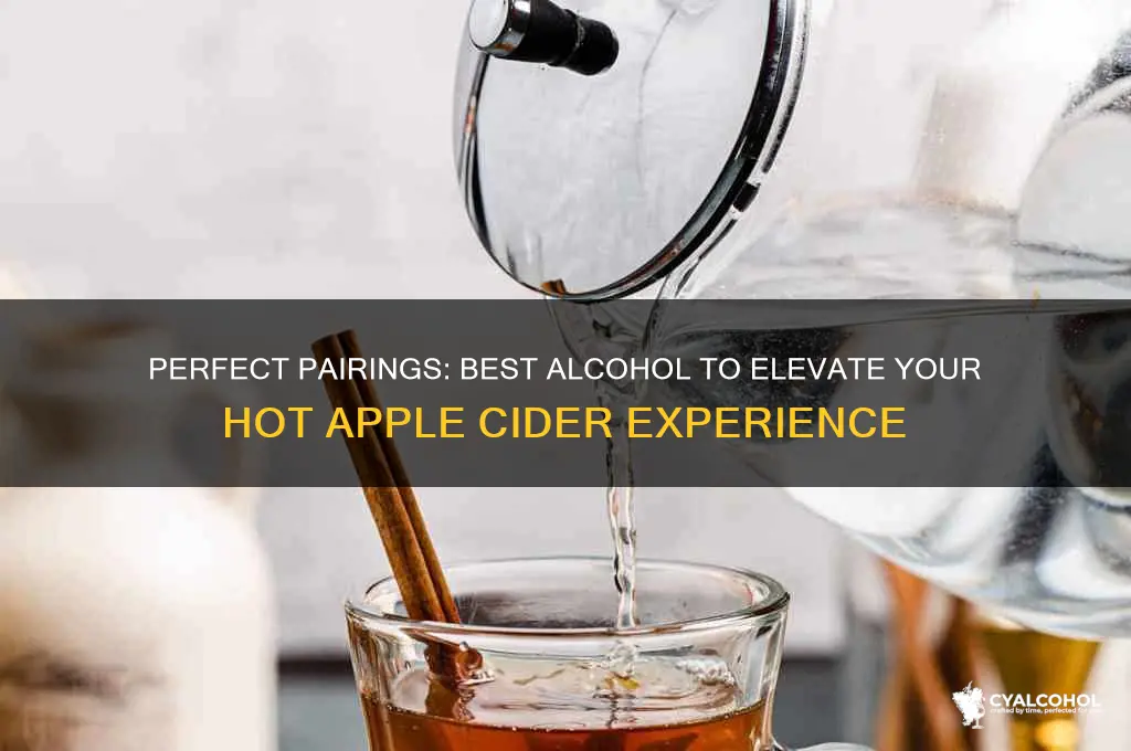 Perfect Pairings: Best Alcohol To Elevate Your Hot Apple Cider ...