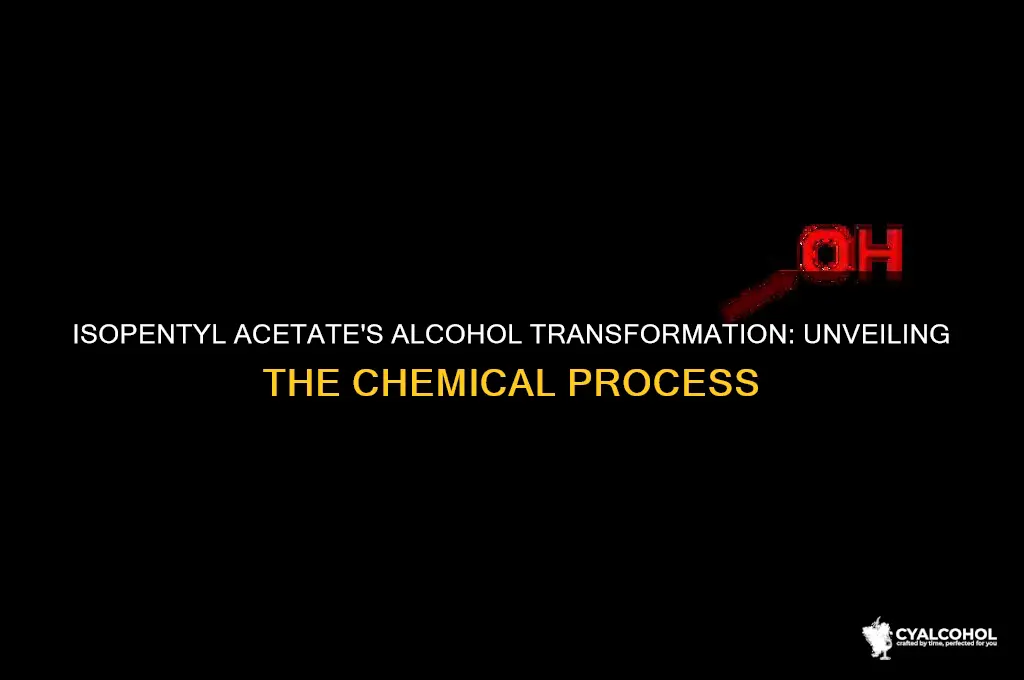 Isopentyl Acetate's Alcohol Transformation: Unveiling The Chemical ...