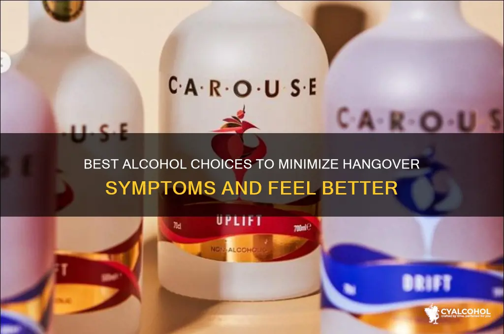 Best Alcohol Choices To Minimize Hangover Symptoms And Feel Better ...