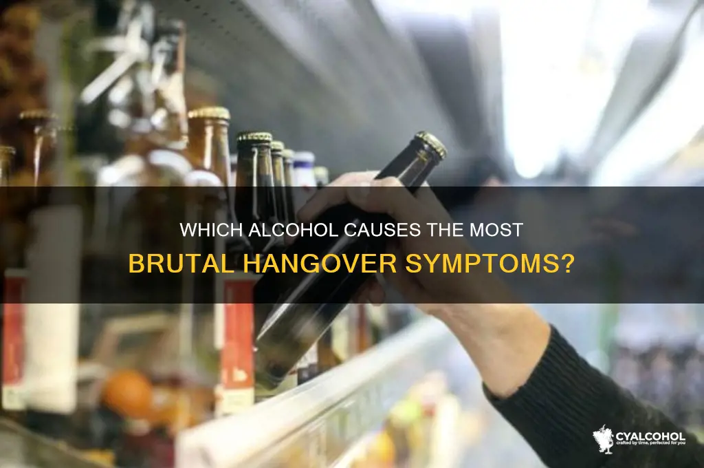 Which Alcohol Causes The Most Brutal Hangover Symptoms? | CyAlcohol