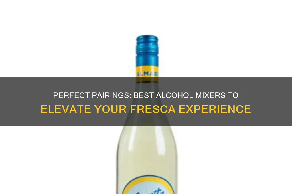 Perfect Pairings: Best Alcohol Mixers To Elevate Your Fresca Experience ...
