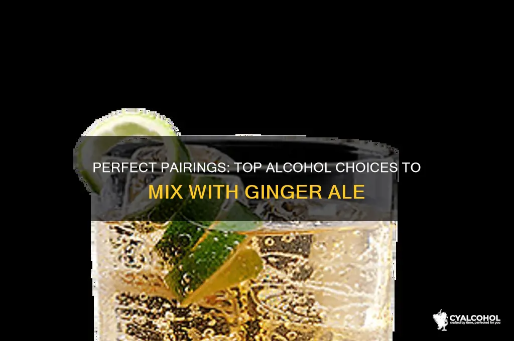 Perfect Pairings: Top Alcohol Choices To Mix With Ginger Ale | CyAlcohol