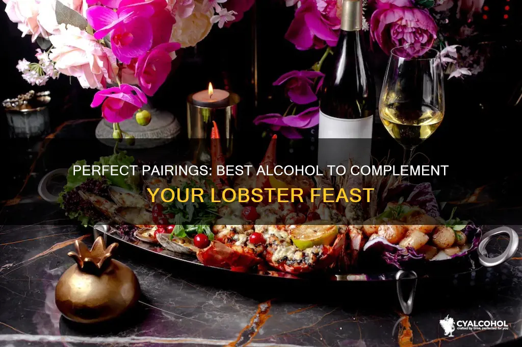Perfect Pairings: Best Alcohol To Complement Your Lobster Feast | CyAlcohol