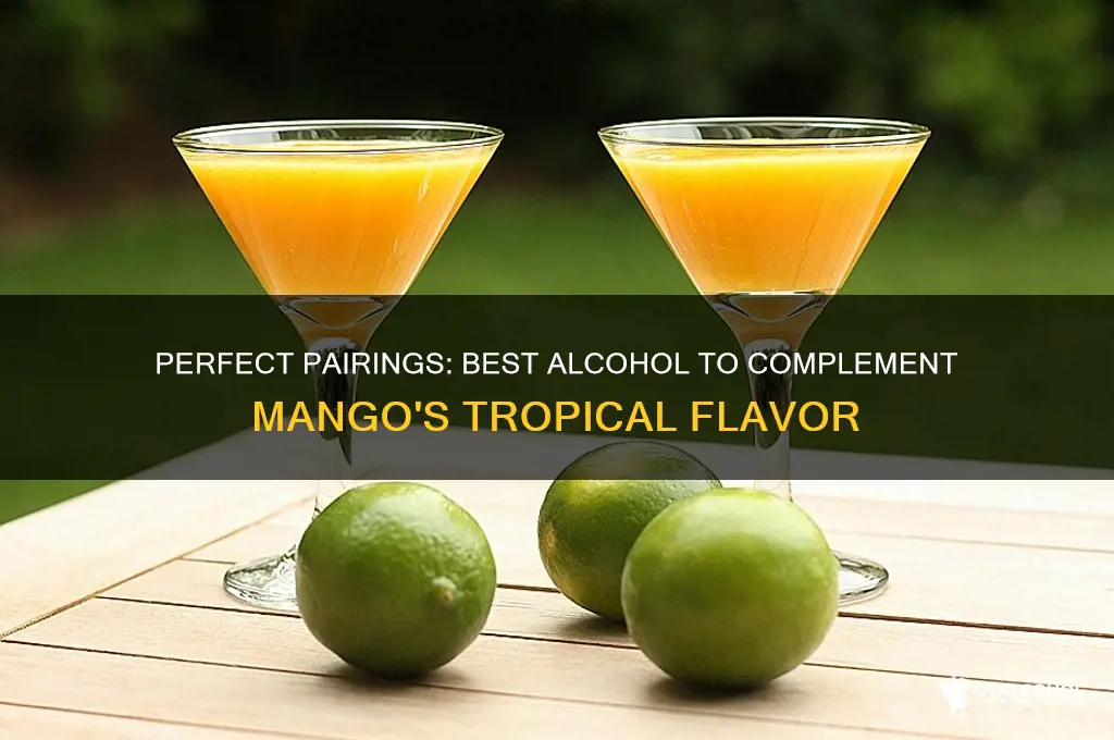 Perfect Pairings: Best Alcohol To Complement Mango's Tropical Flavor ...