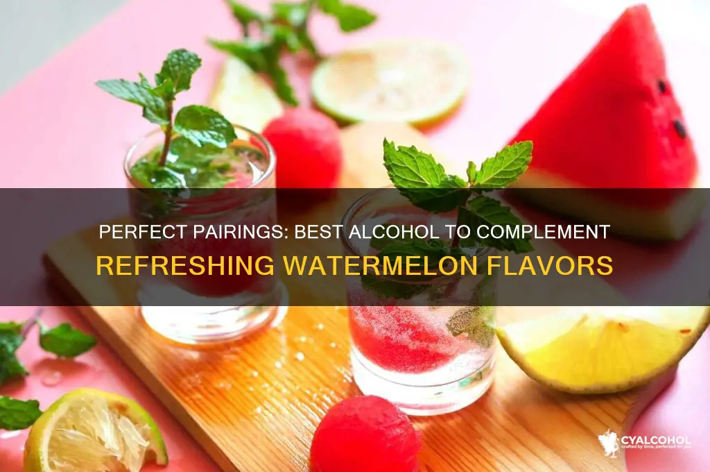 Perfect Pairings: Best Alcohol To Complement Refreshing Watermelon ...