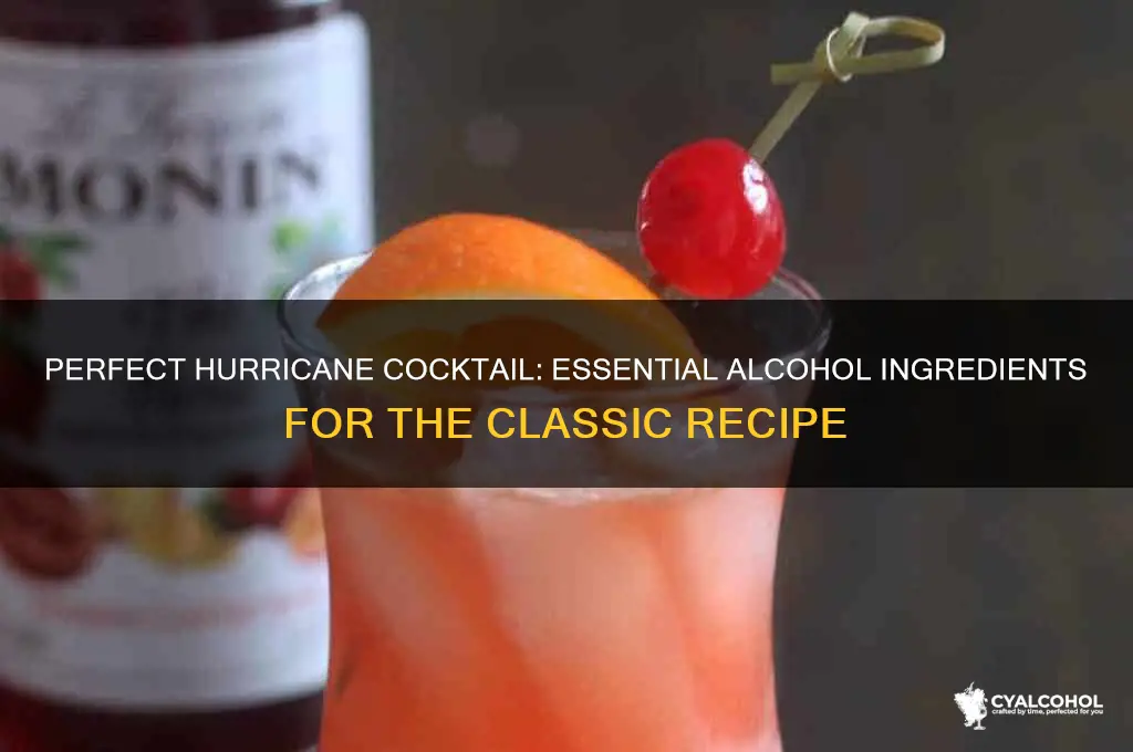 Perfect Hurricane Cocktail: Essential Alcohol Ingredients For The ...