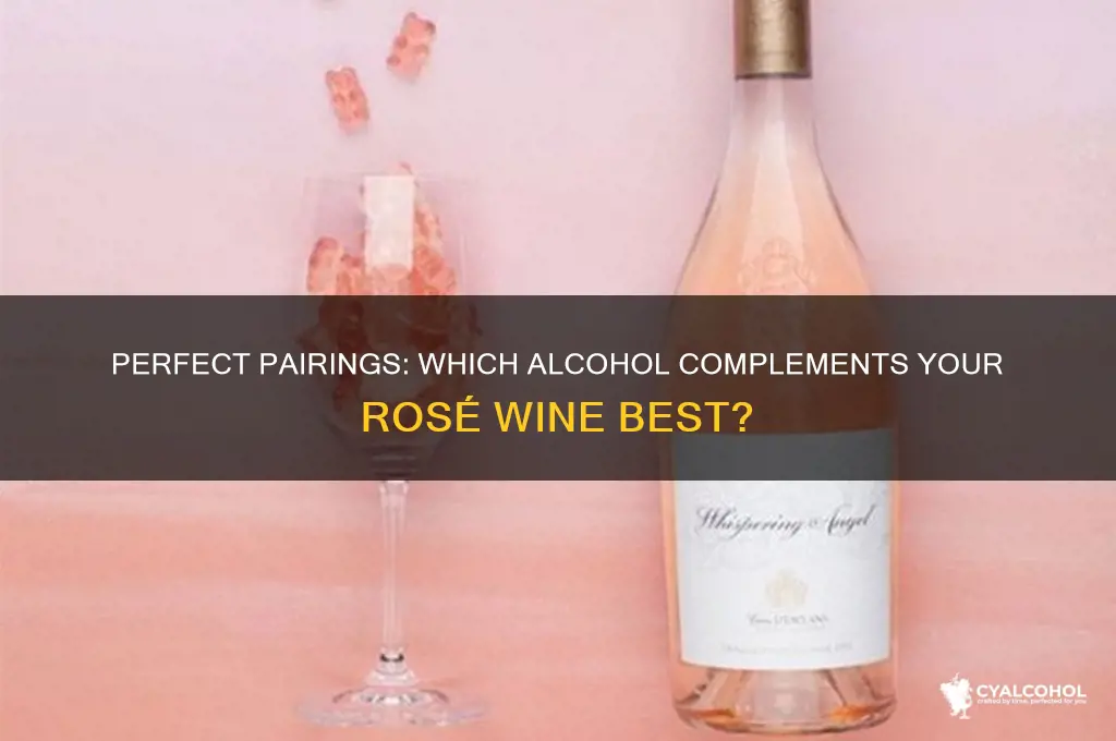 Perfect Pairings: Which Alcohol Complements Your Rosé Wine Best ...