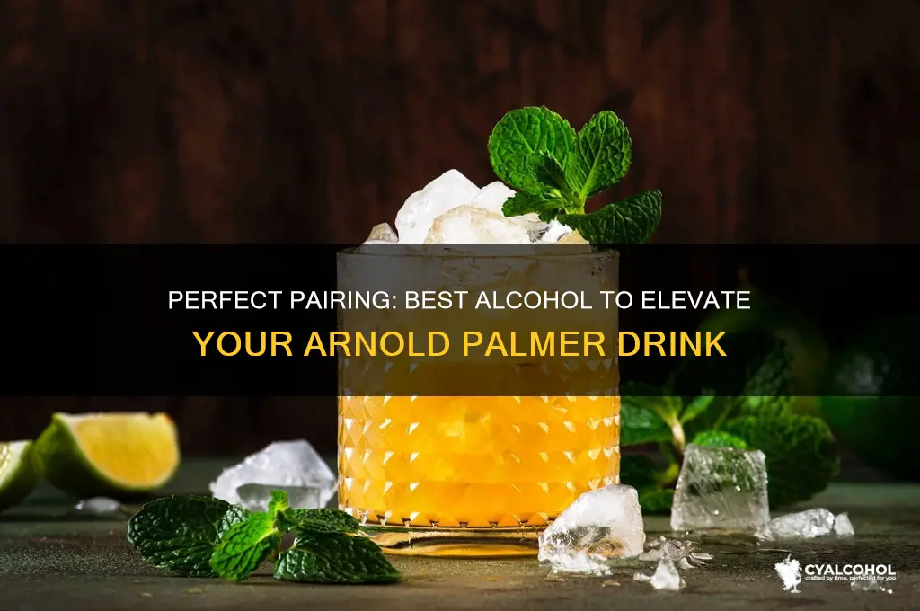 Perfect Pairing: Best Alcohol To Elevate Your Arnold Palmer Drink ...