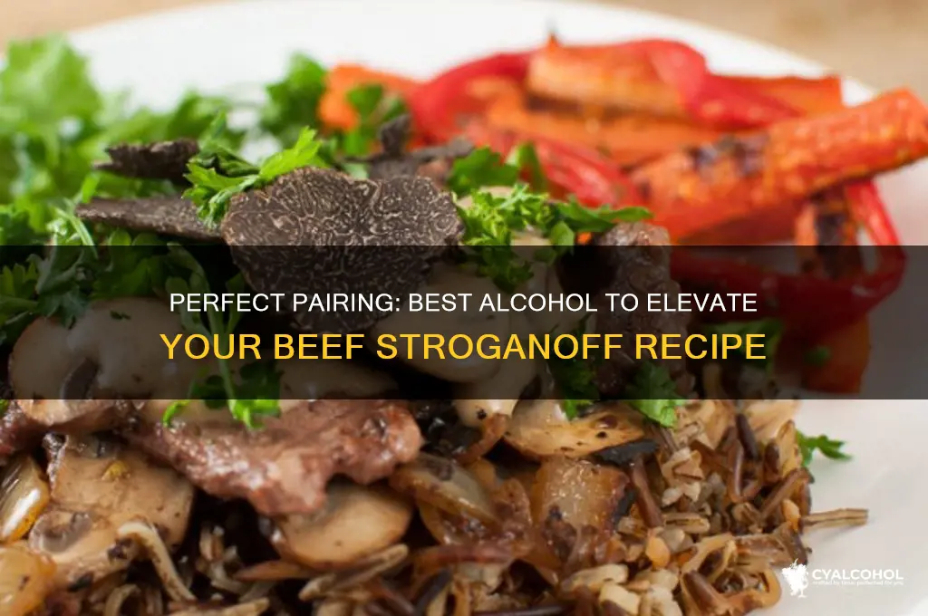 Perfect Pairing: Best Alcohol To Elevate Your Beef Stroganoff Recipe ...
