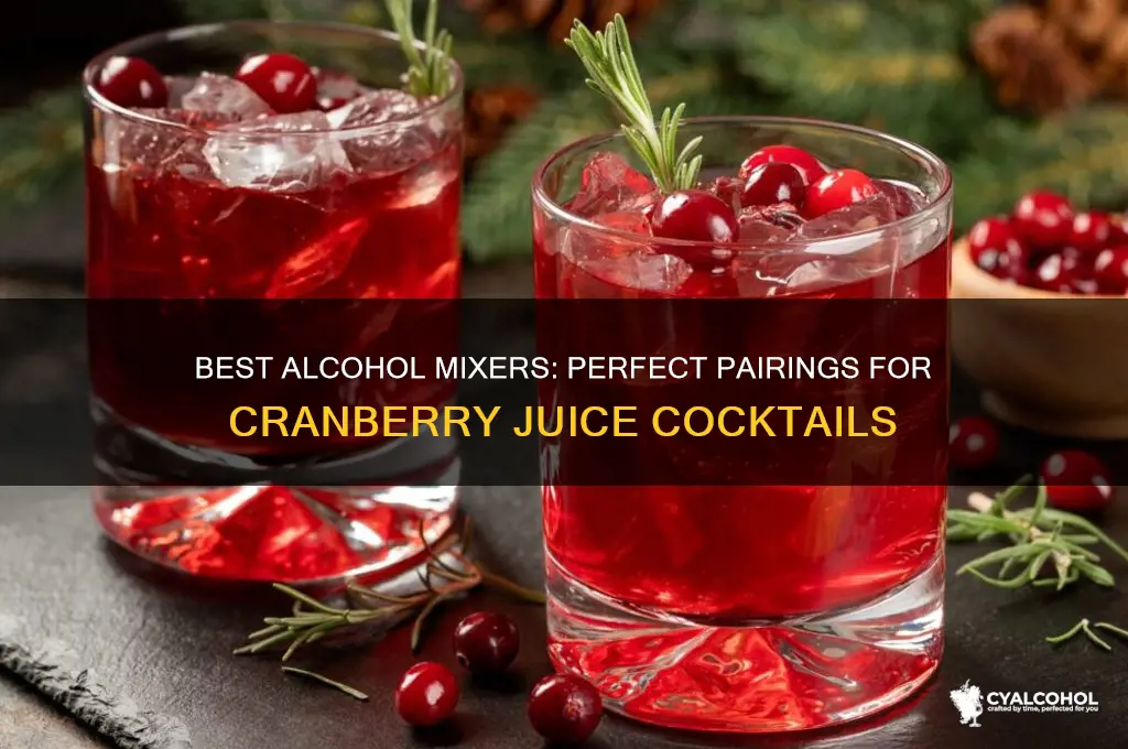 Best Alcohol Mixers: Perfect Pairings For Cranberry Juice Cocktails ...