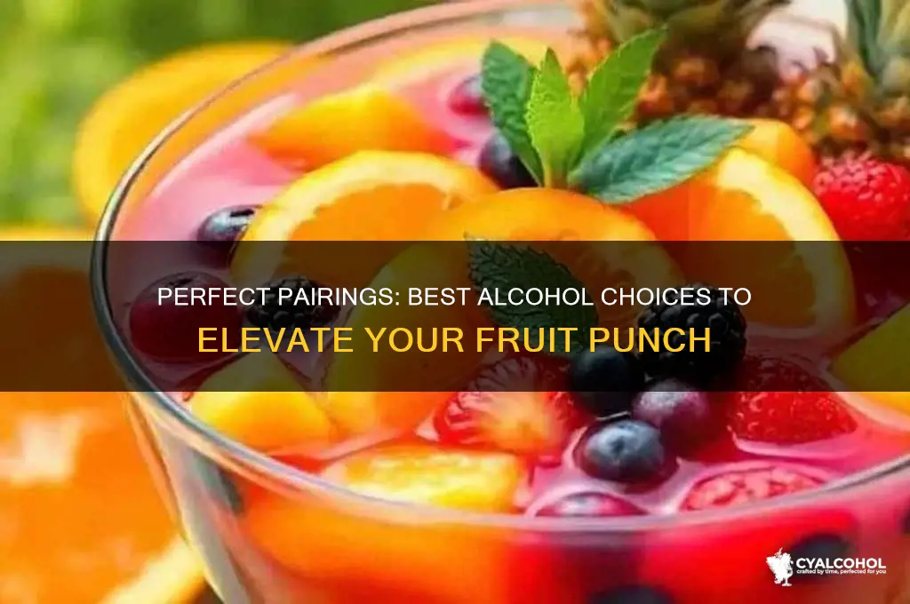 Perfect Pairings: Best Alcohol Choices To Elevate Your Fruit Punch ...